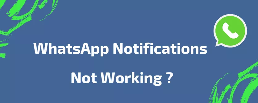 WhatsApp Notification Not Working? How to Fix it